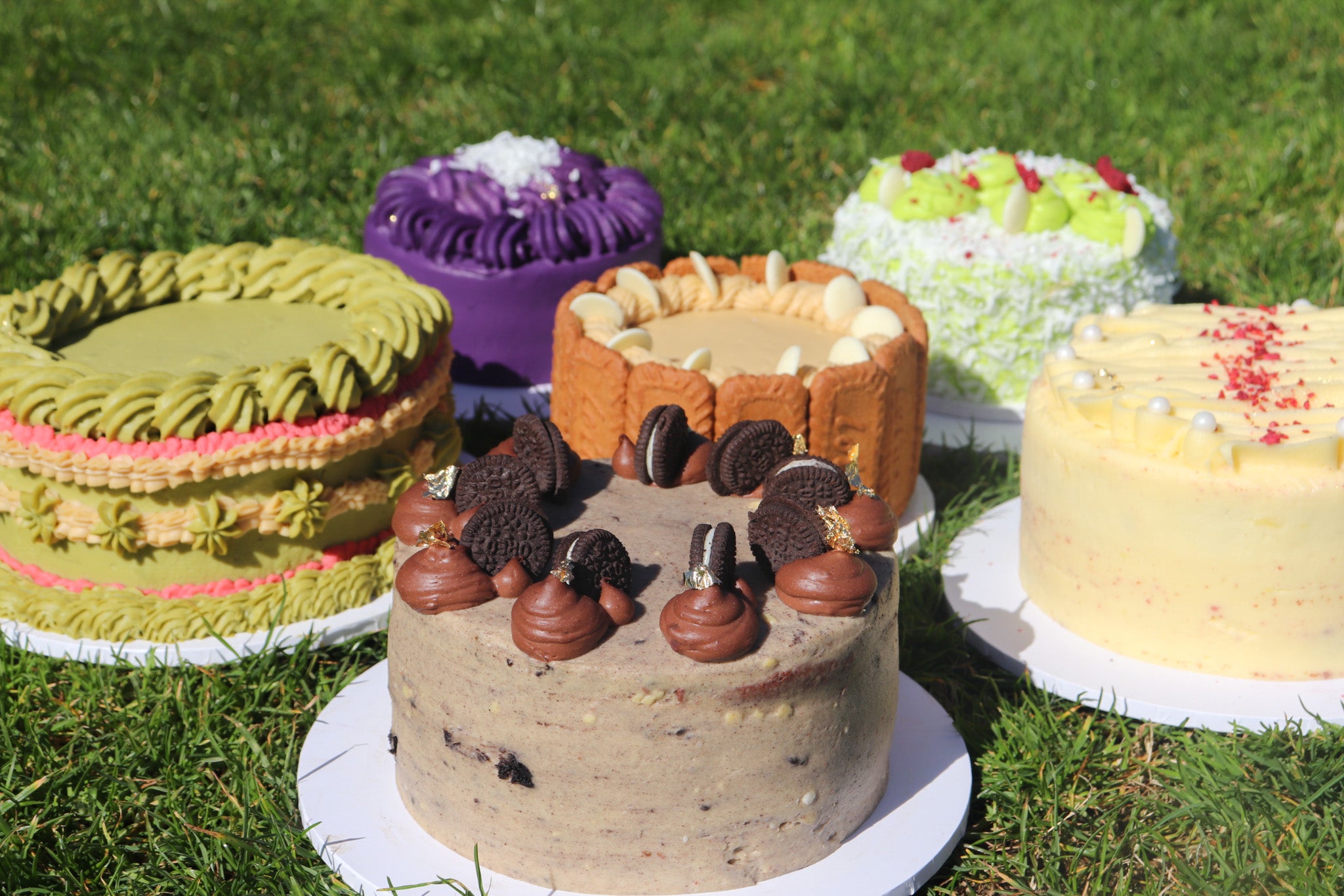 Celebration Cakes – Luna Bakehouse